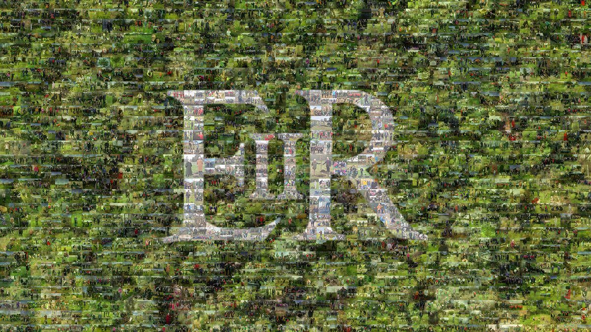 igus® takes part in tree planting for the Queen’s Green Canopy